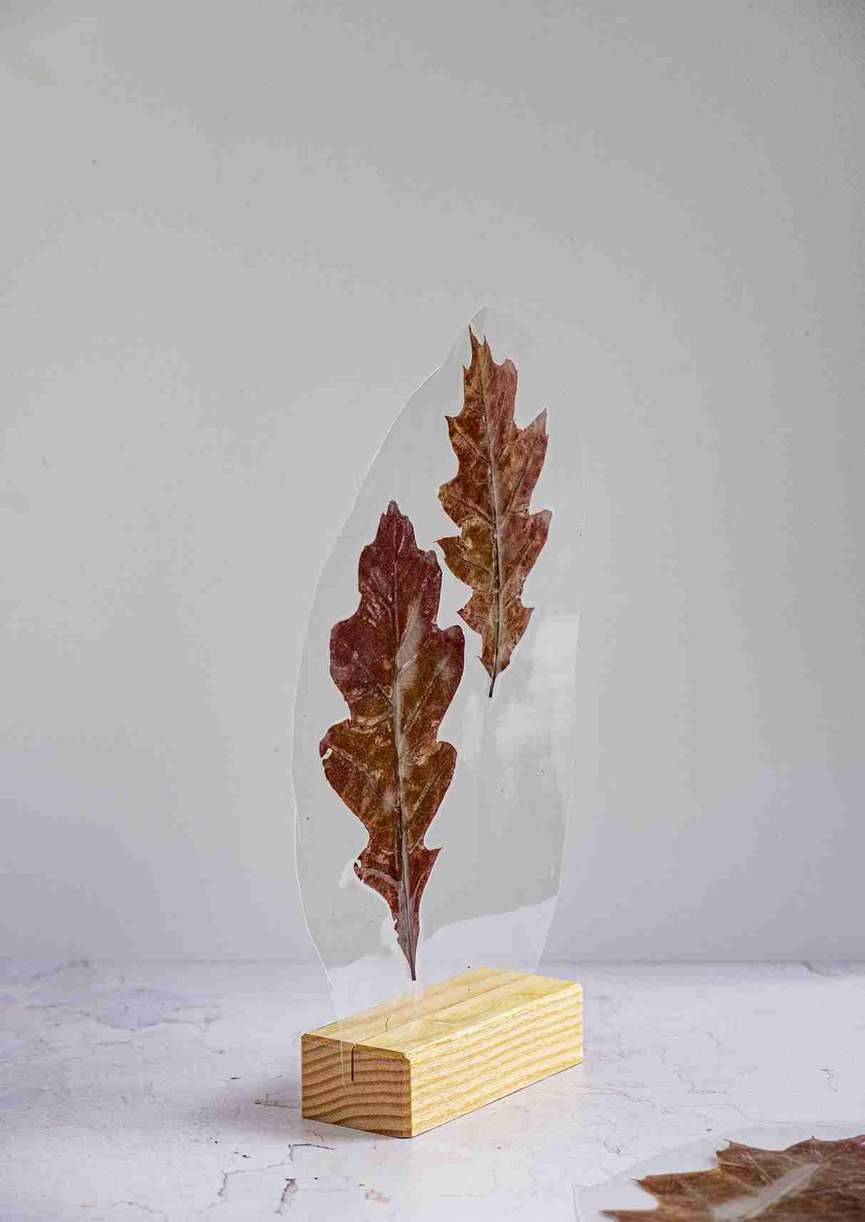 Geweldig idee met herfstbladeren - Seizoenen Blog