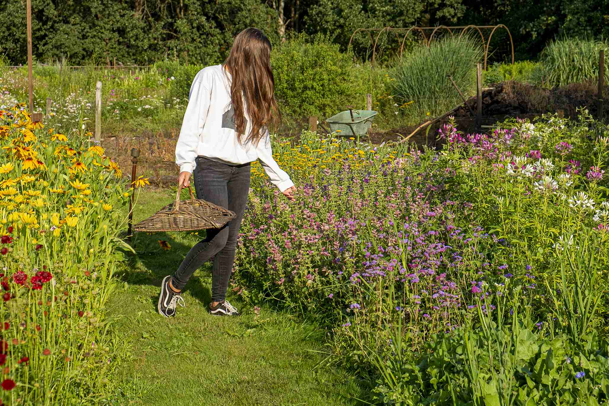 Alles wat je moet weten over lente - Seizoenen Blog